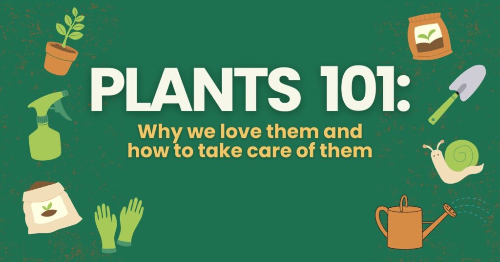 Plants 101: Why we love them and how to take care of them | Be Well