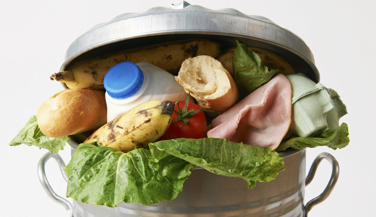 The Scandal Of Food Waste Will Measuring More Help Us Waste Less