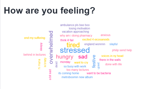 Using Mentimeter: Case studies from Staff at the University of Bath ...