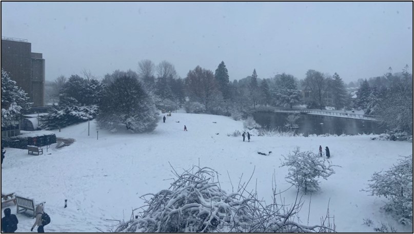 Embracing nature’s magic: a snow day at the University of Bath ...