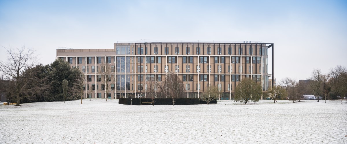 Campus as a winter wonderland | On Parade